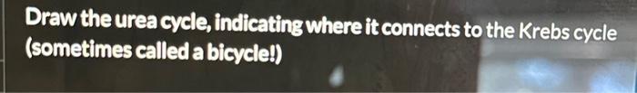 [Solved]: Draw the urea cycle, indicating where it connects