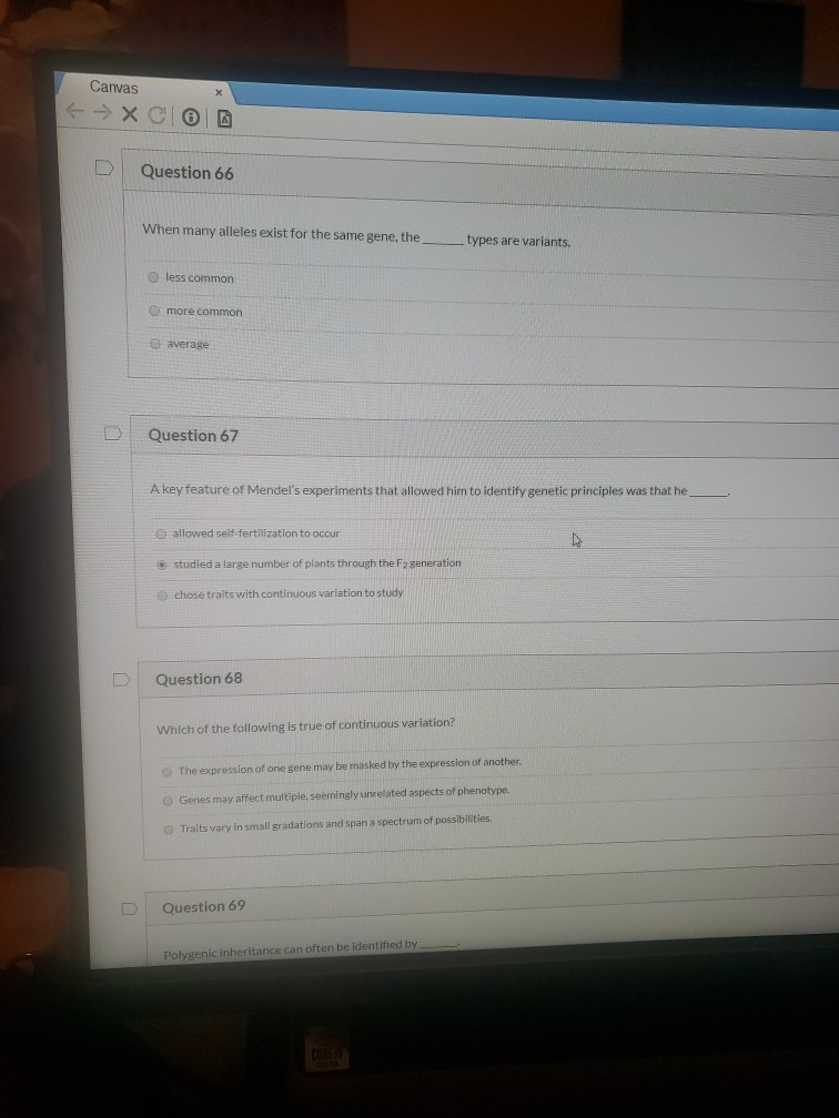 Solved X Canvas & XC Question 66 When many alleles exist for | Chegg.com