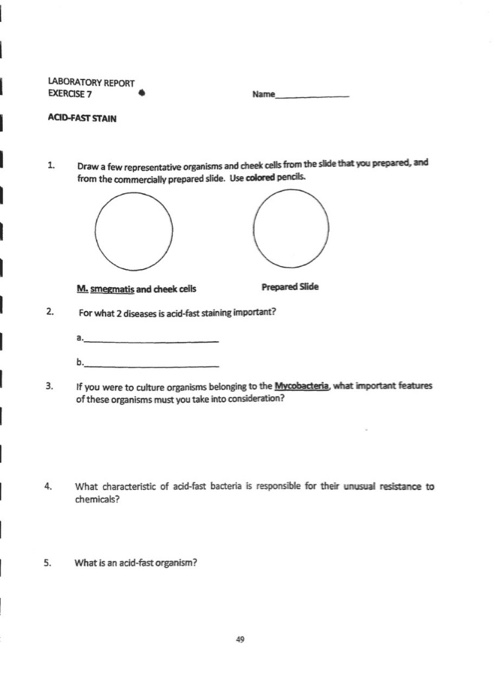 Solved LABORATORY REPORT EXERCISE 7 ACID-FAST STAIN Draw a | Chegg.com