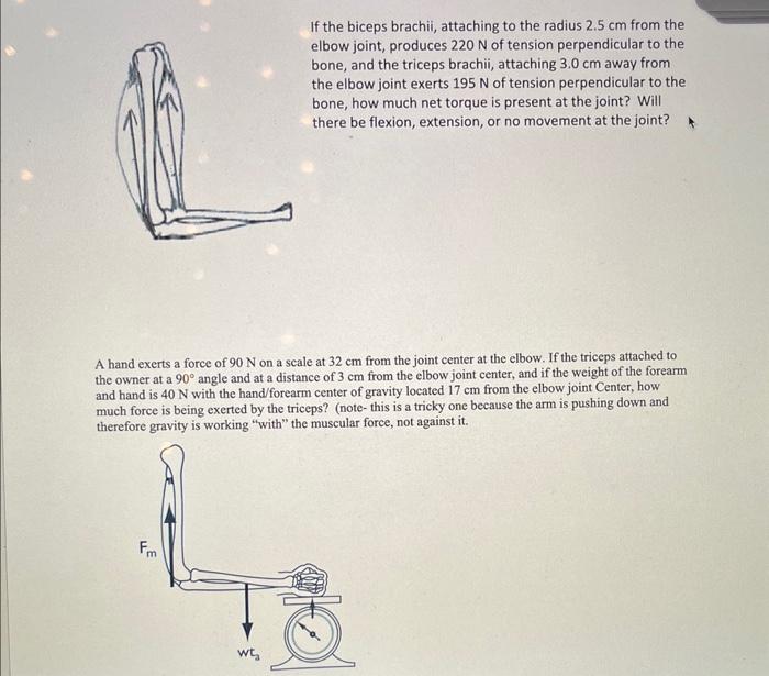 Solved If the biceps brachii, attaching to the radius 2.5 cm | Chegg.com