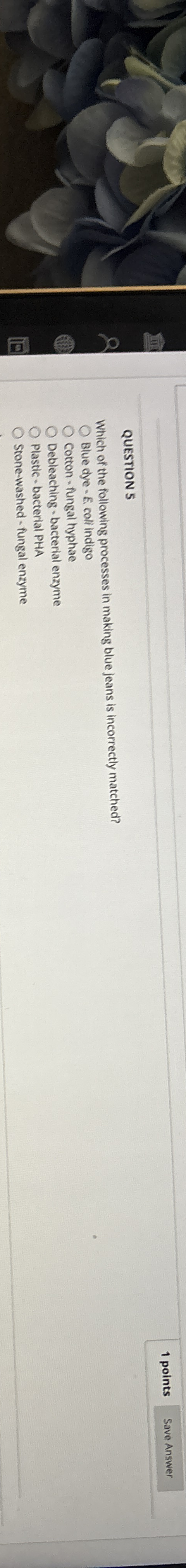 Solved 1 ﻿pointsQUESTION 5Which of the following processes | Chegg.com