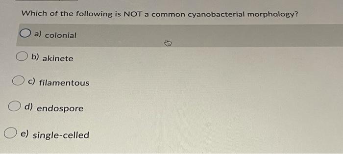 Solved Which feature, which is indicated in the following | Chegg.com