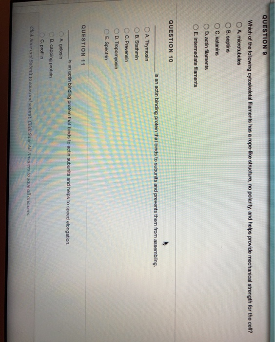 Solved QUESTION 9 Which of the following cytoskeletal | Chegg.com