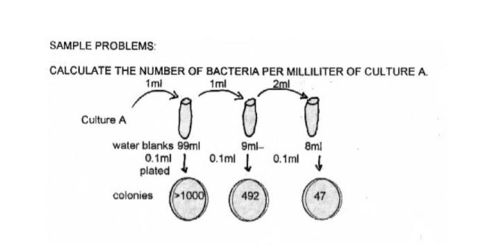 Solved SAMPLE PROBLEMS: CALCULATE THE NUMBER OF BACTERIA PER | Chegg.com