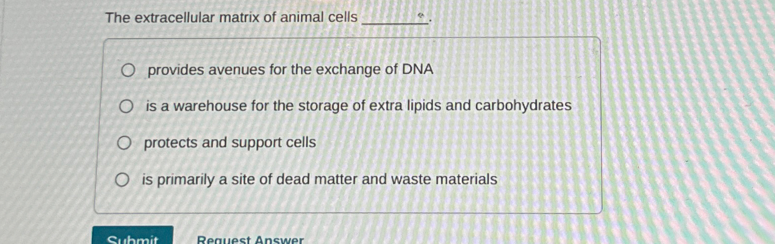 Solved The extracellular matrix of animal cellsprovides | Chegg.com