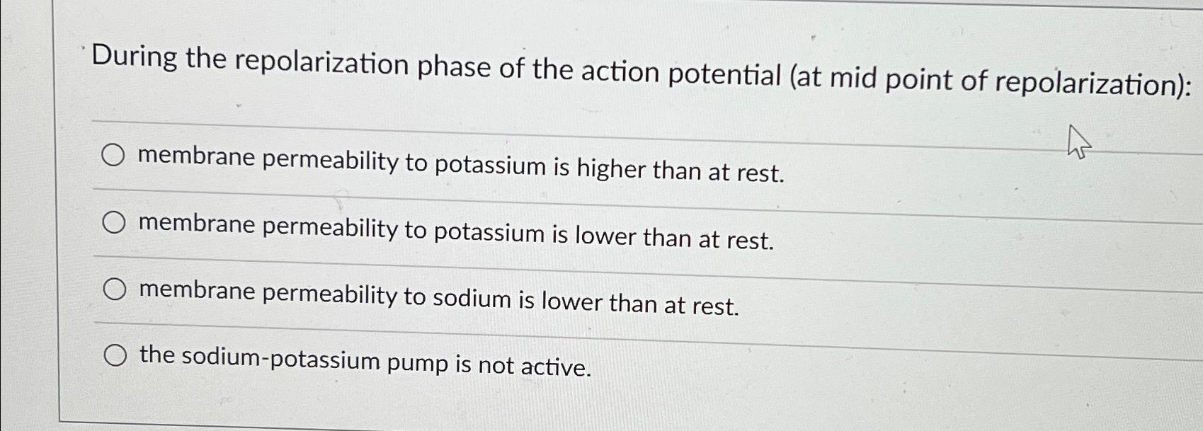 Solved During the repolarization phase of the action | Chegg.com