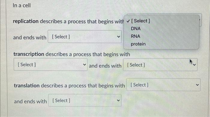 replication describes a process that begins with and | Chegg.com