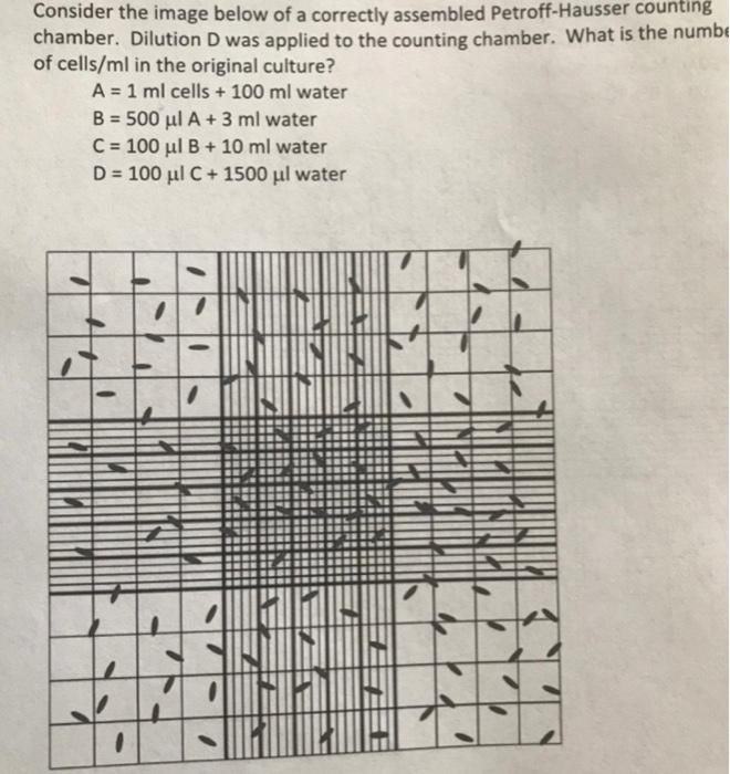 Solved Consider the image below of a correctly assembled | Chegg.com