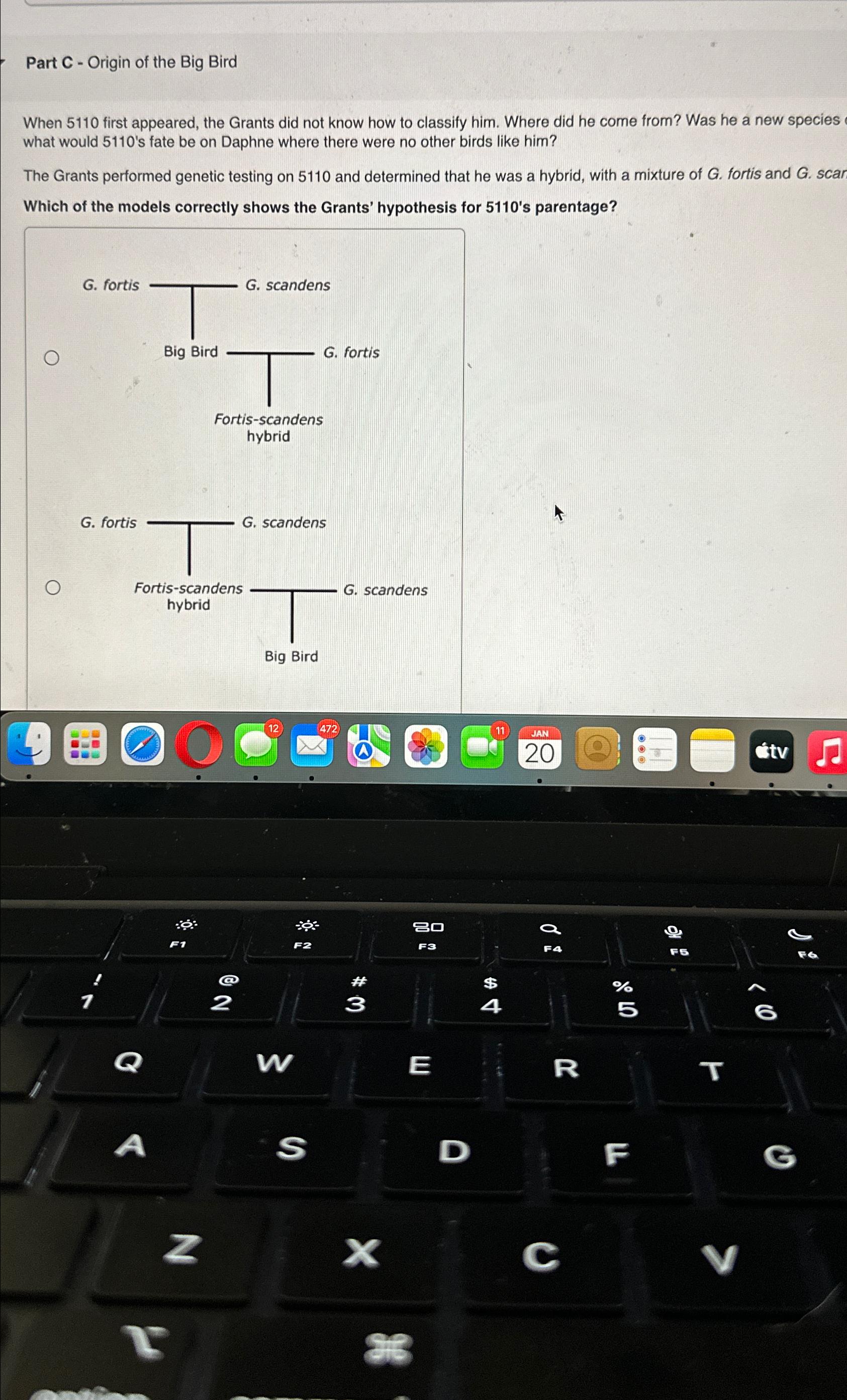 Solved Part C - ﻿Origin of the Big BirdWhen 5110 ﻿first | Chegg.com