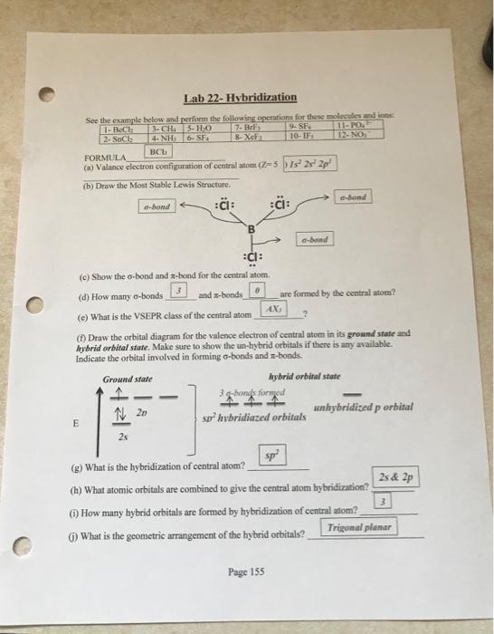 Solved Lab 22-Hybridization See the example below and | Chegg.com