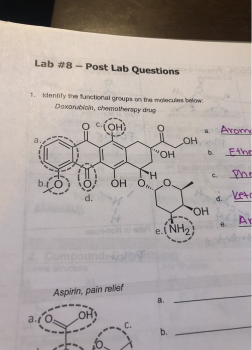 Solved Lab #8 - Post Lab Questions 1. Identify the | Chegg.com