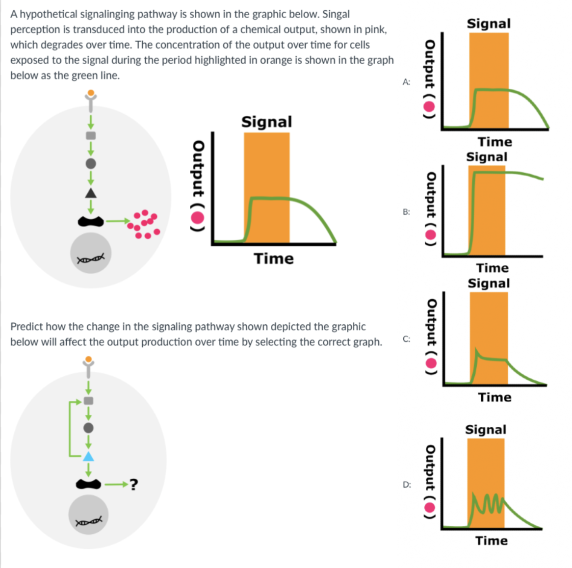 Solved A hypothetical signalinging pathway is shown in the | Chegg.com