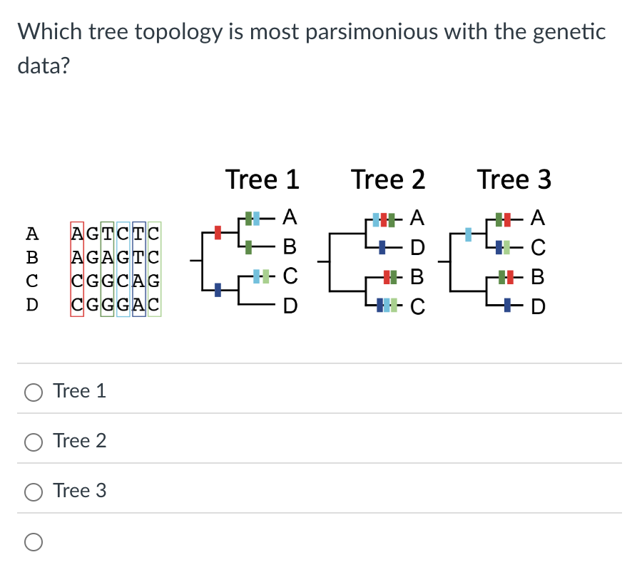 Solved Which tree topology is most parsimonious with the | Chegg.com