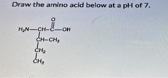 Solved Draw the amino acid below at a pH of 7Draw one of the | Chegg.com
