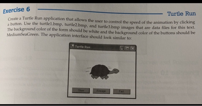Solved Exercise 6 Turtle Run Create a Turtle Run | Chegg.com