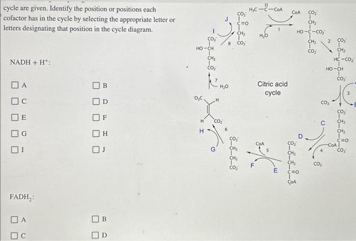 Solved cycle are given. Identify the position or positions | Chegg.com
