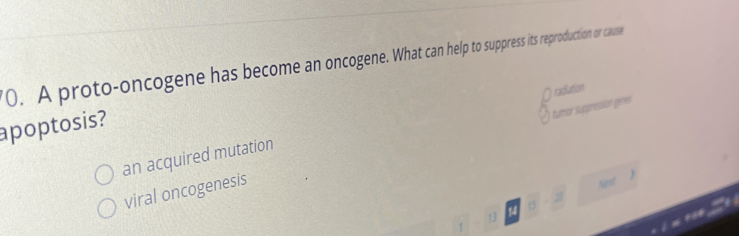 Solved A proto-oncogene has become an oncogene. What can | Chegg.com