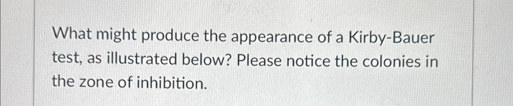 Solved What might produce the appearance of a Kirby-Bauer | Chegg.com