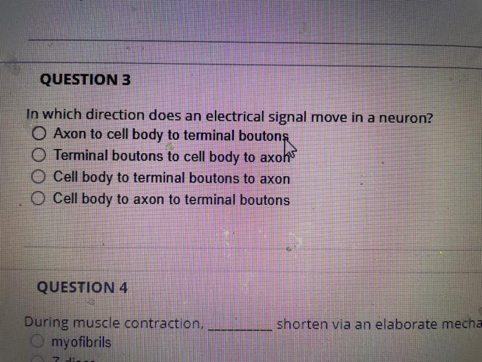 Solved In which direction does an electrical signal move in | Chegg.com