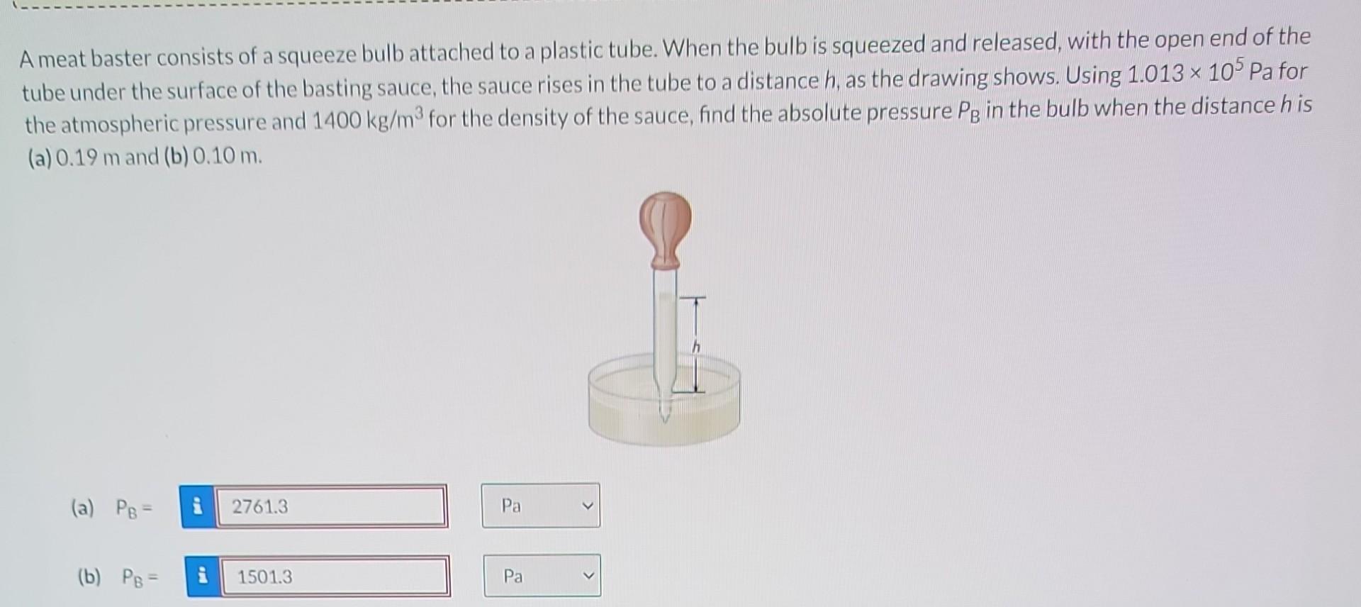 Solved A meat baster consists of a squeeze bulb attached to | Chegg.com