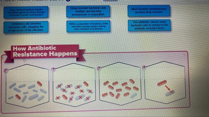 Solved place the labels into this infographic to demonstrate | Chegg.com