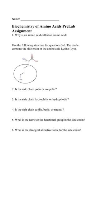 Solved Biochemistry of Amino Acids PreLab Assignment 1. Why | Chegg.com