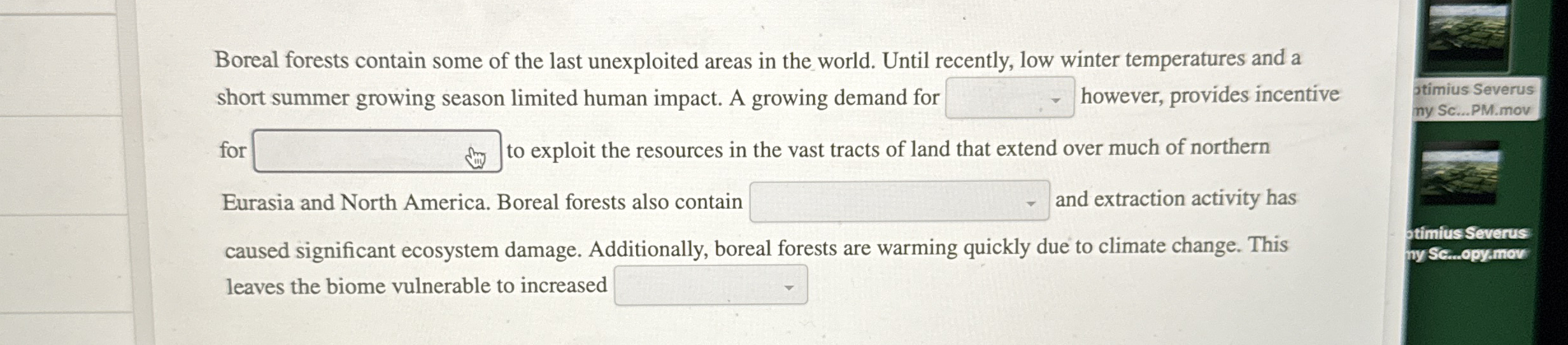 Solved Boreal forests contain some of the last unexploited | Chegg.com