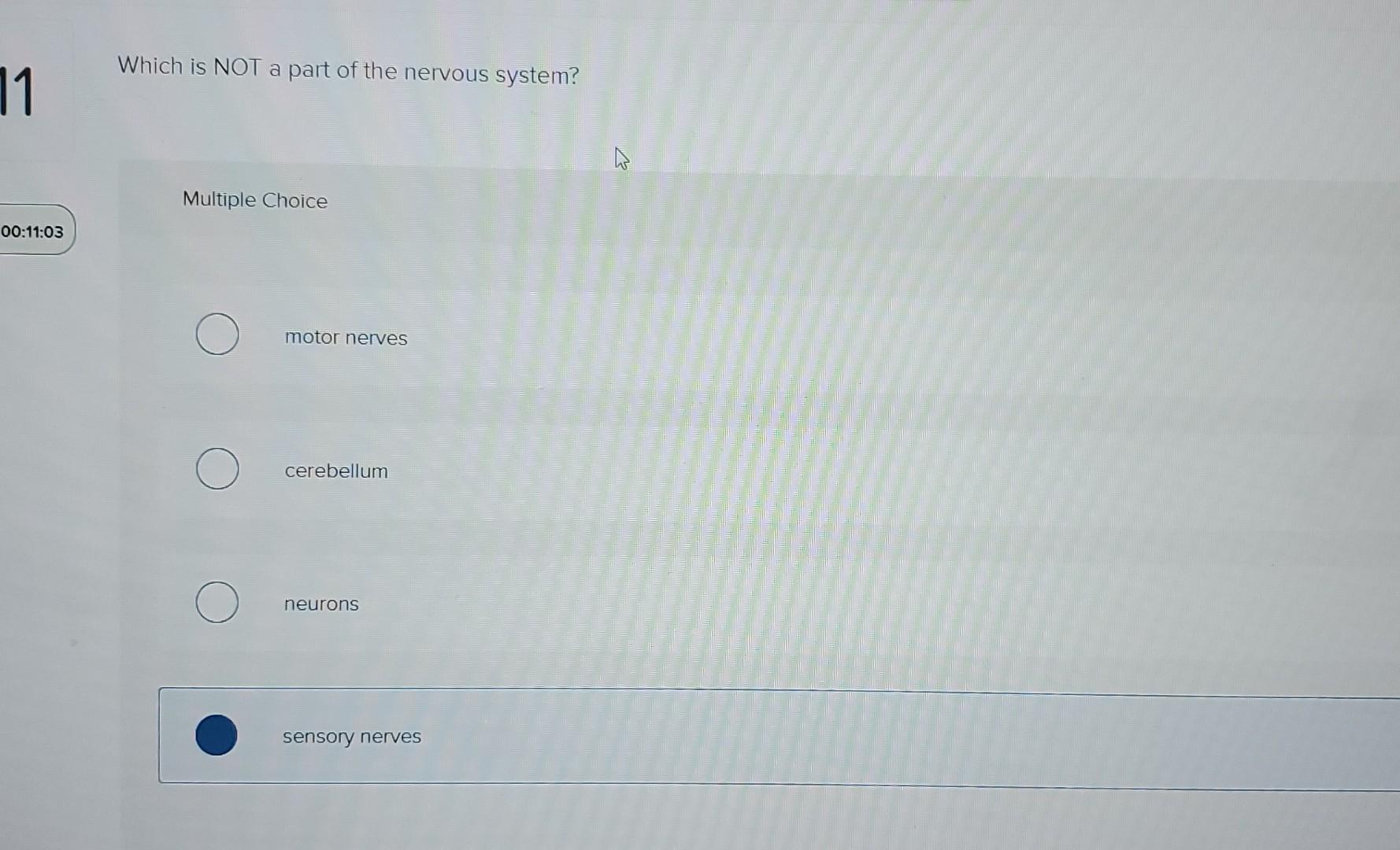 Solved Which is NOT a part of the nervous system? Multiple | Chegg.com