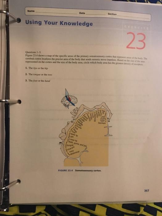 Solved Name Date Section Reviewing Your knowledge EXERCISE | Chegg.com