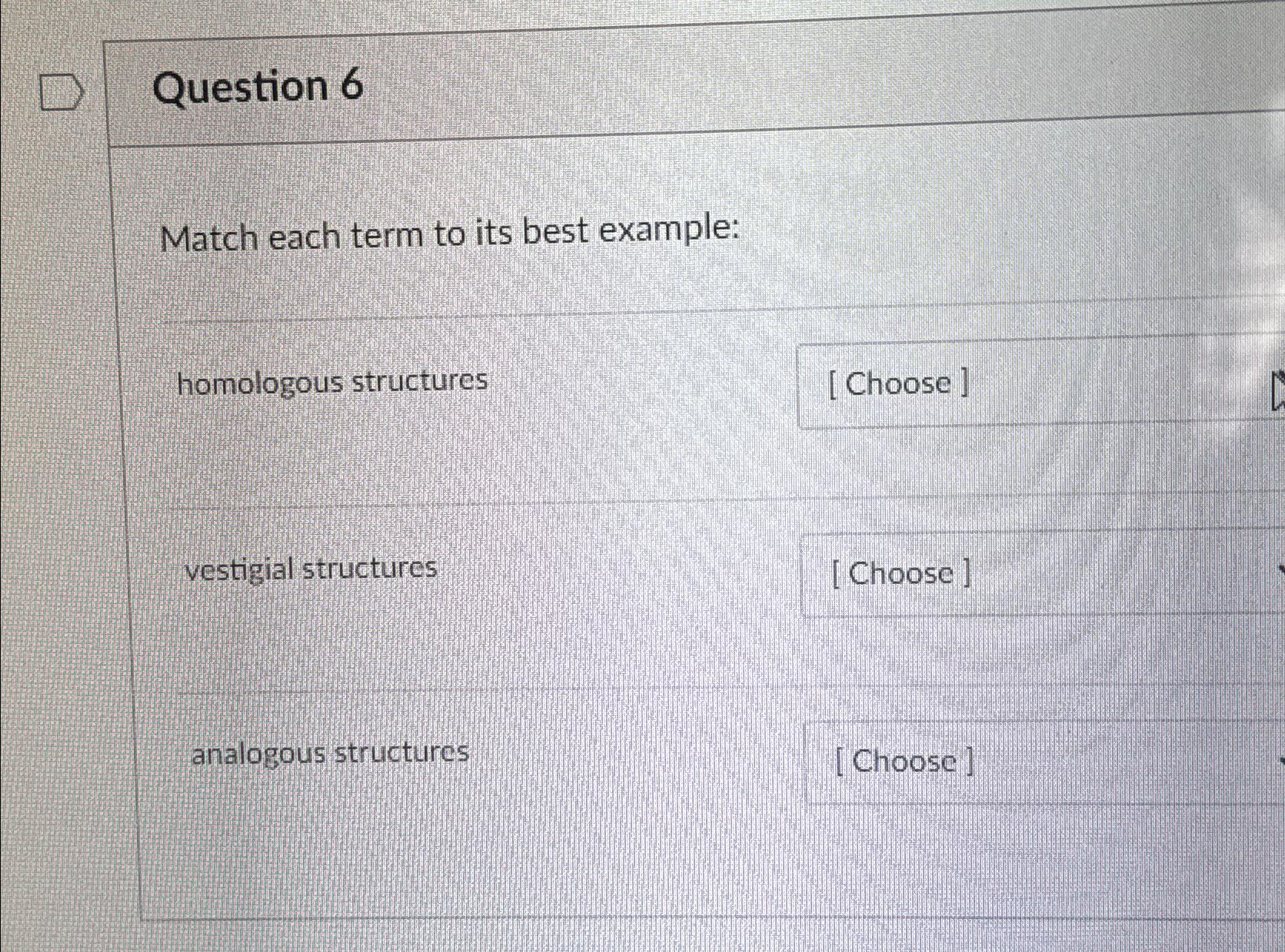 Solved Question 6Match each term to its best | Chegg.com
