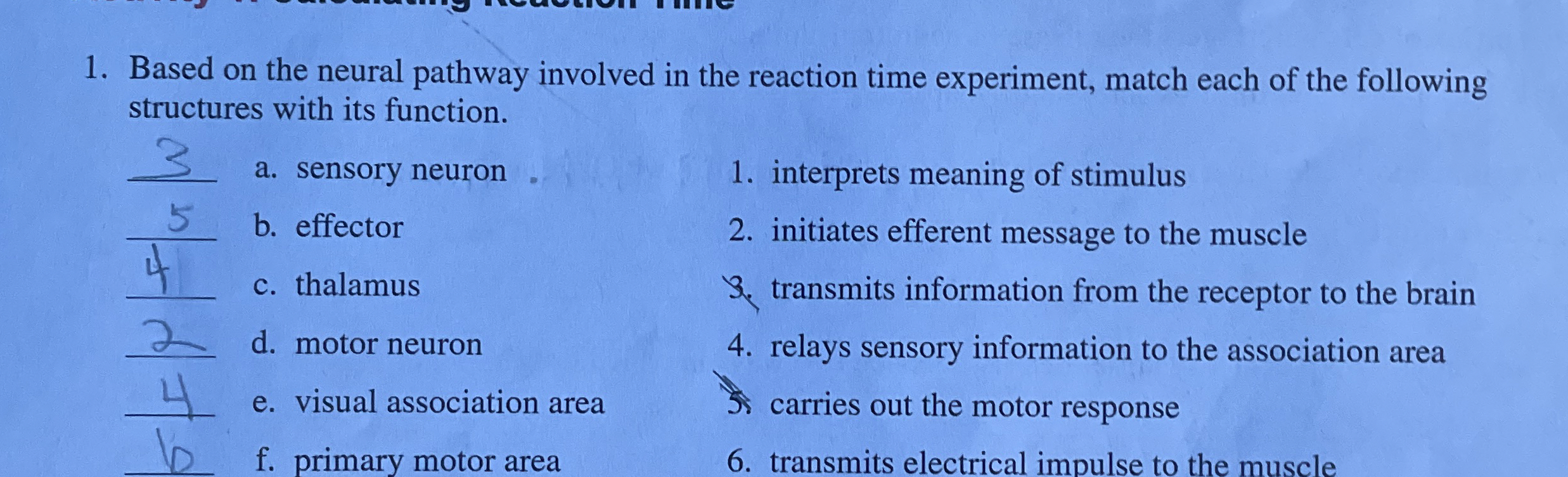 Solved Based on the neural pathway involved in the reaction | Chegg.com