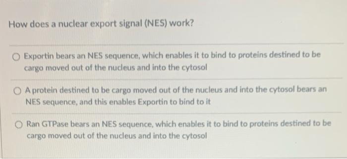 Solved How does a nuclear export signal (NES) work? Exportin | Chegg.com