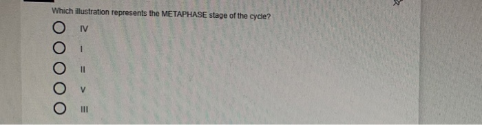 Solved Dr. John Doebley used transmission genetics to | Chegg.com