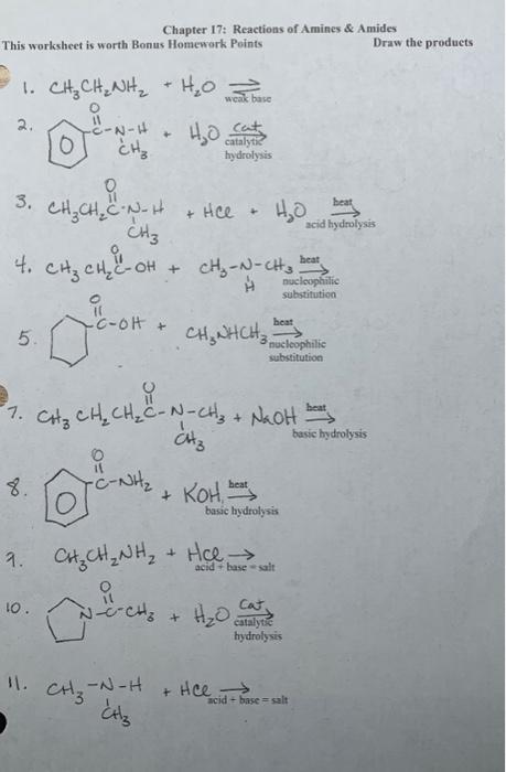 Solved Chapter 17: Reactions of Amines \& Amides This | Chegg.com