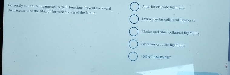 Solved Correctly match the ligaments to their function: | Chegg.com