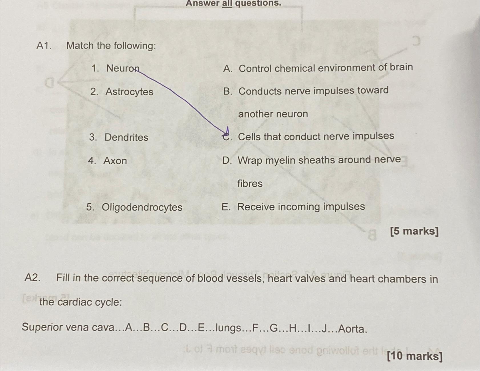 Solved Answer all questions.A1. ﻿Match the | Chegg.com