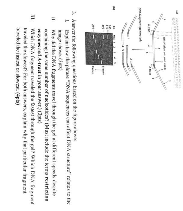 Solved 3. Answer the following questions based on the figure | Chegg.com