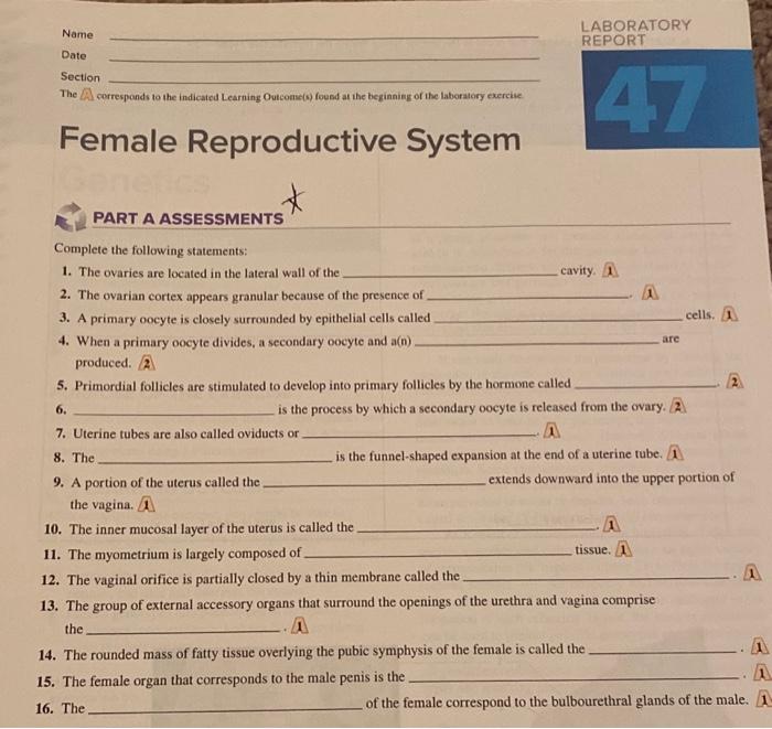 Solved Name LABORATORY Date Section The A corresponds to the | Chegg.com