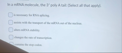 Solved In a mRNA molecule, the 3' ﻿poly A tail: (Select all | Chegg.com