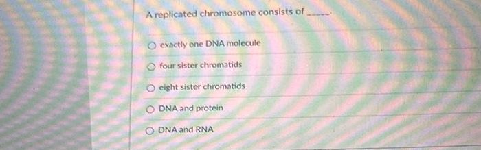 Solved A replicated chromosome consists of exactly one DNA | Chegg.com
