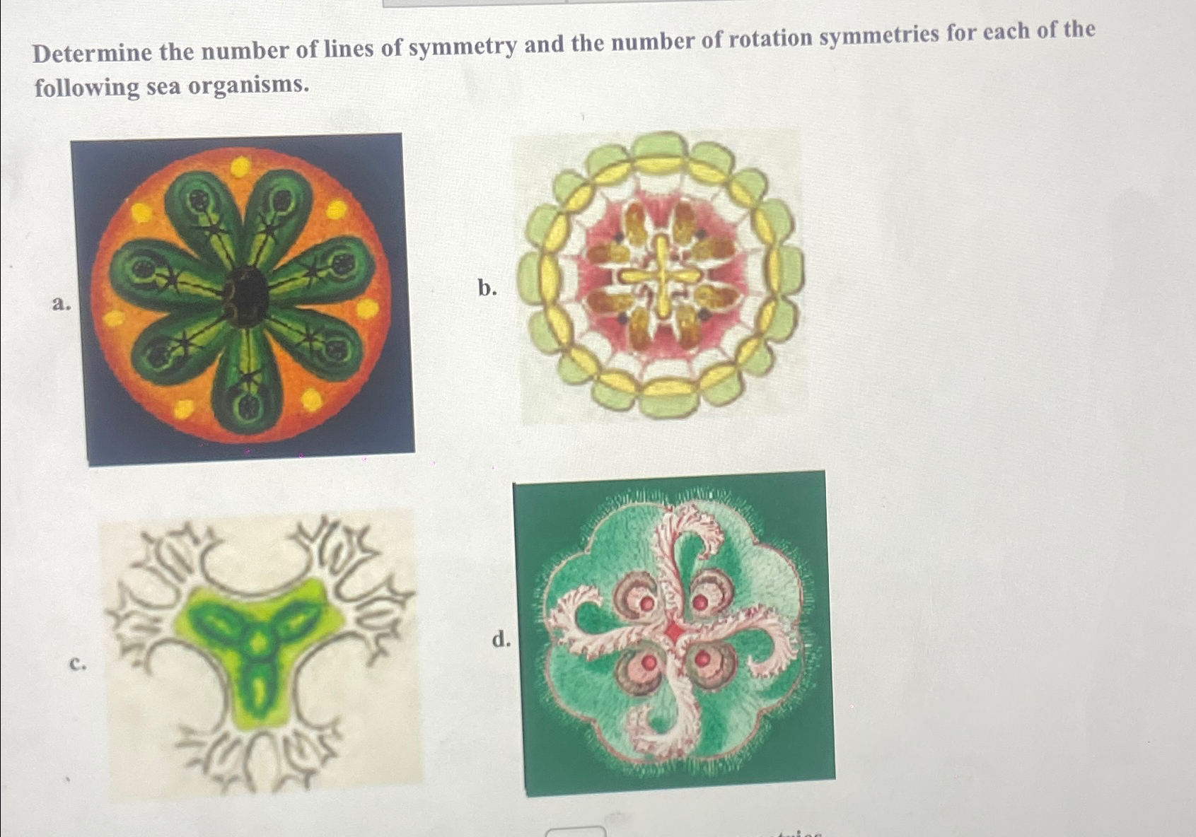 Solved Determine the number of lines of symmetry and the | Chegg.com