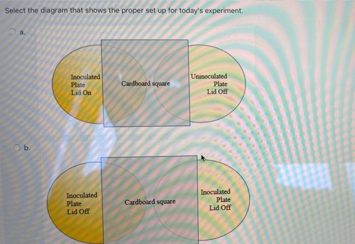 Select the diagram that shows the proper set up for | Chegg.com