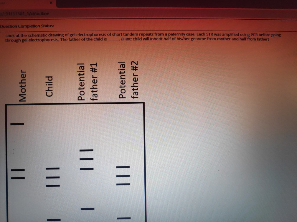 Solved 914375811/4/outline Question Completion Status: Look | Chegg.com