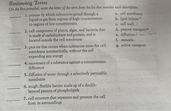 Solved Reviewing Terms On the line provided, write the | Chegg.com