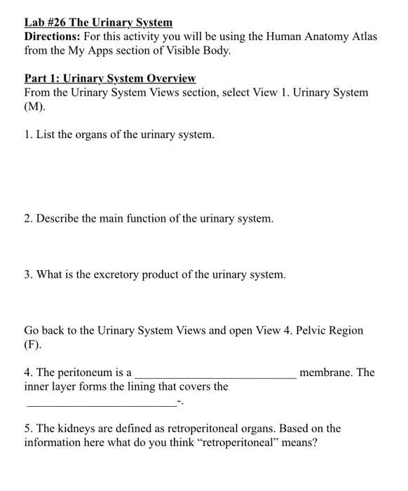 Solved Lab #26 The Urinary System Directions: For this | Chegg.com