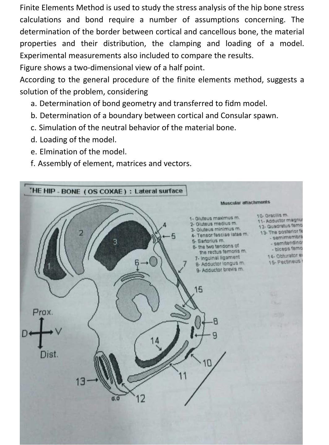 Solved Finite Elements Method is used to study the stress | Chegg.com