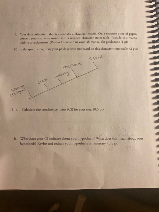 Complete the data table as you dissect, using the | Chegg.com