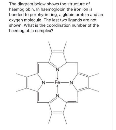 Solved The diagram below shows the structure of haemoglobin. | Chegg.com