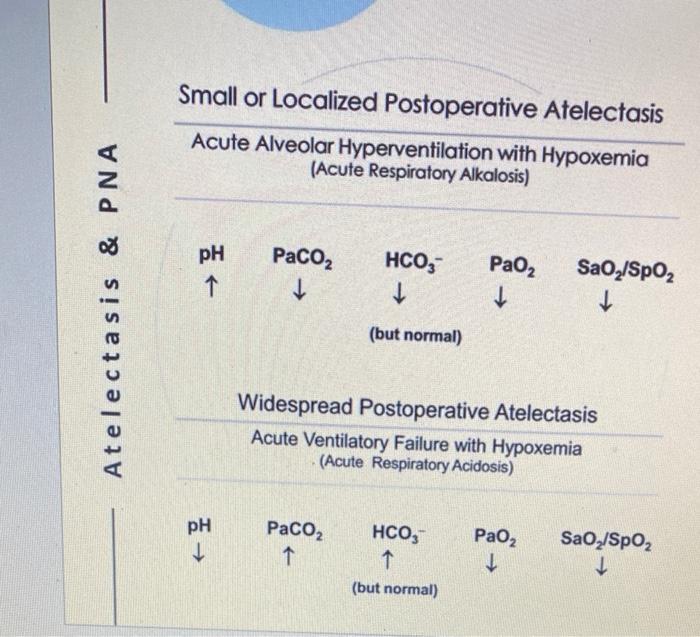 Solved what do the ABGs indicate and why does the ABGS | Chegg.com