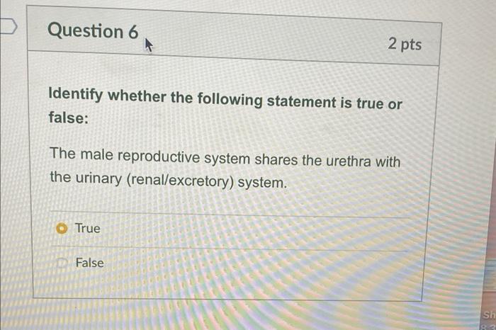Solved Identify whether the following statement is true or | Chegg.com